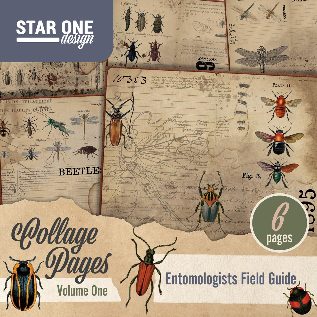 Junk Journal Signature Pages, Digital Paper Kit, Vintage Entomology ...