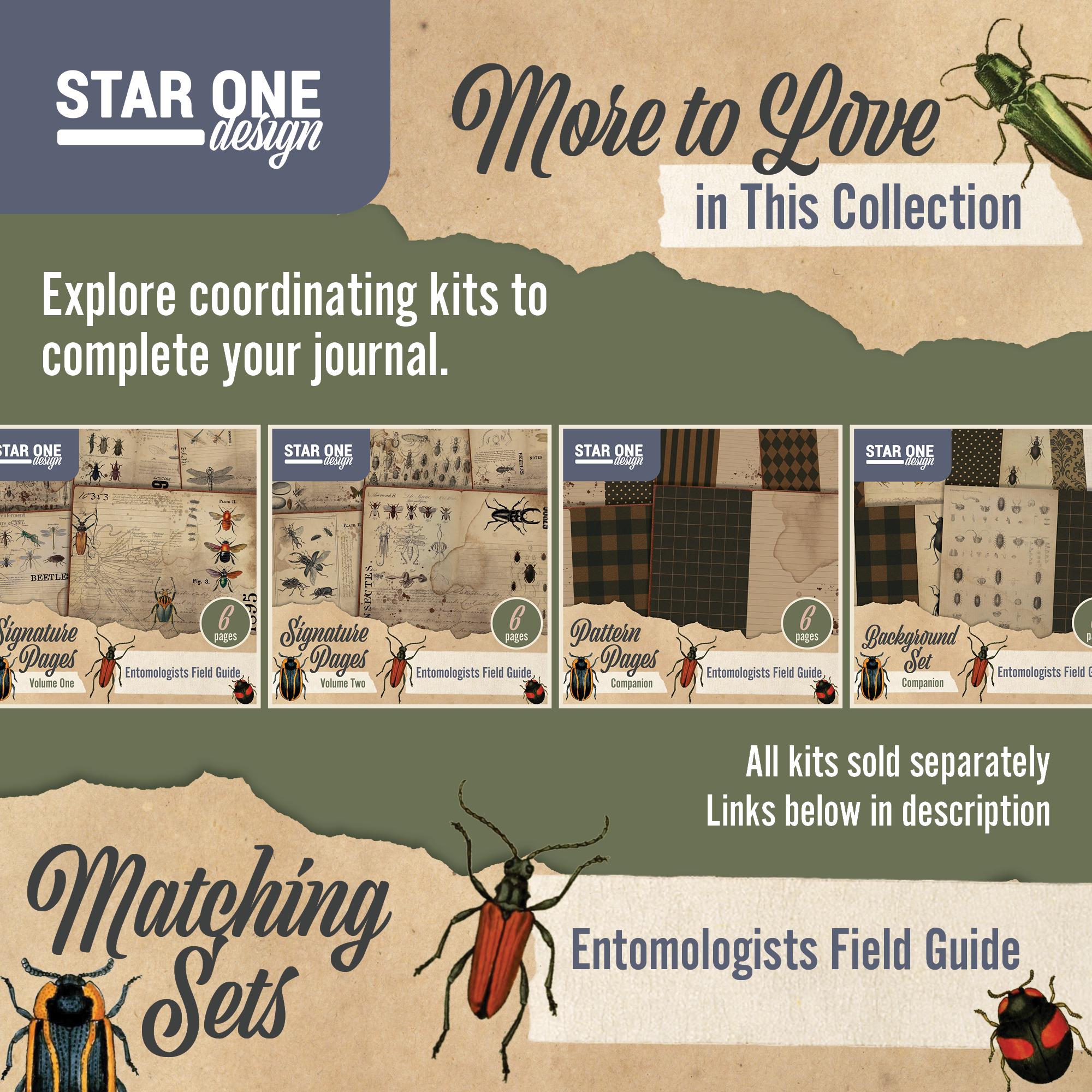 Entomologists Field Guide Window Pockets – Printable Top & Side Loading ...