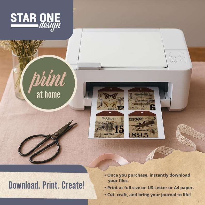 Entomologists Field Guide – Vintage Insect Specimen Tag Set (13 Tags ...