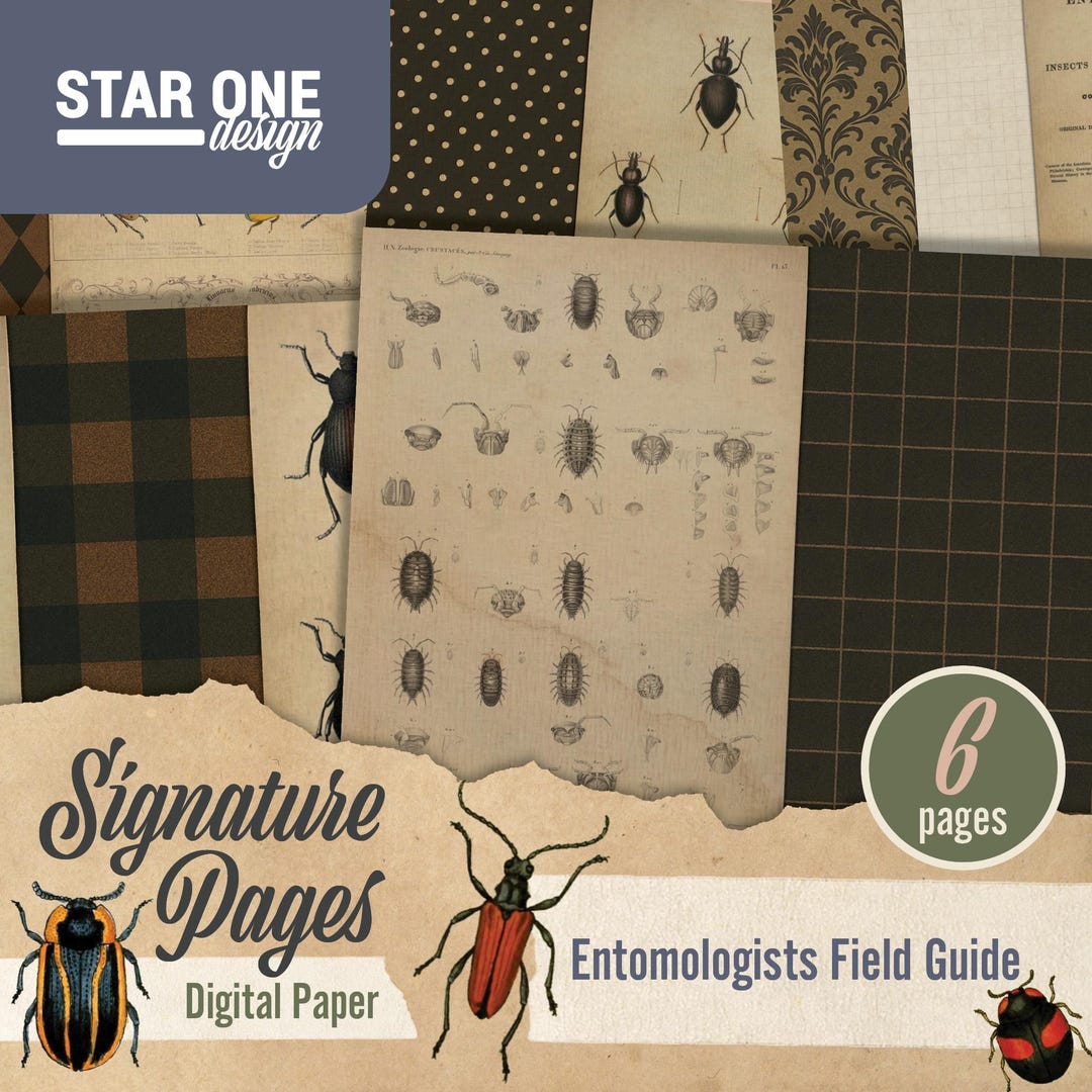 Junk Journal Background Papers, Entomologist Field Guide Digital Paper ...