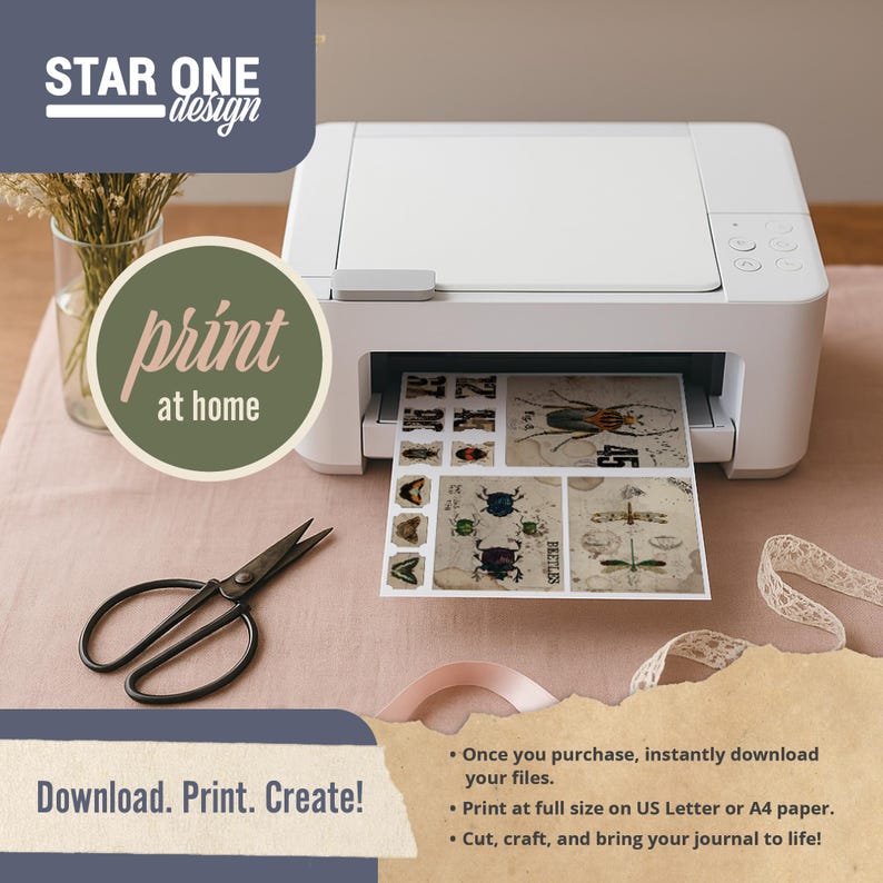 Entomologists Field Guide Ephemera – 53 Printable Insect Frames, Labels ...