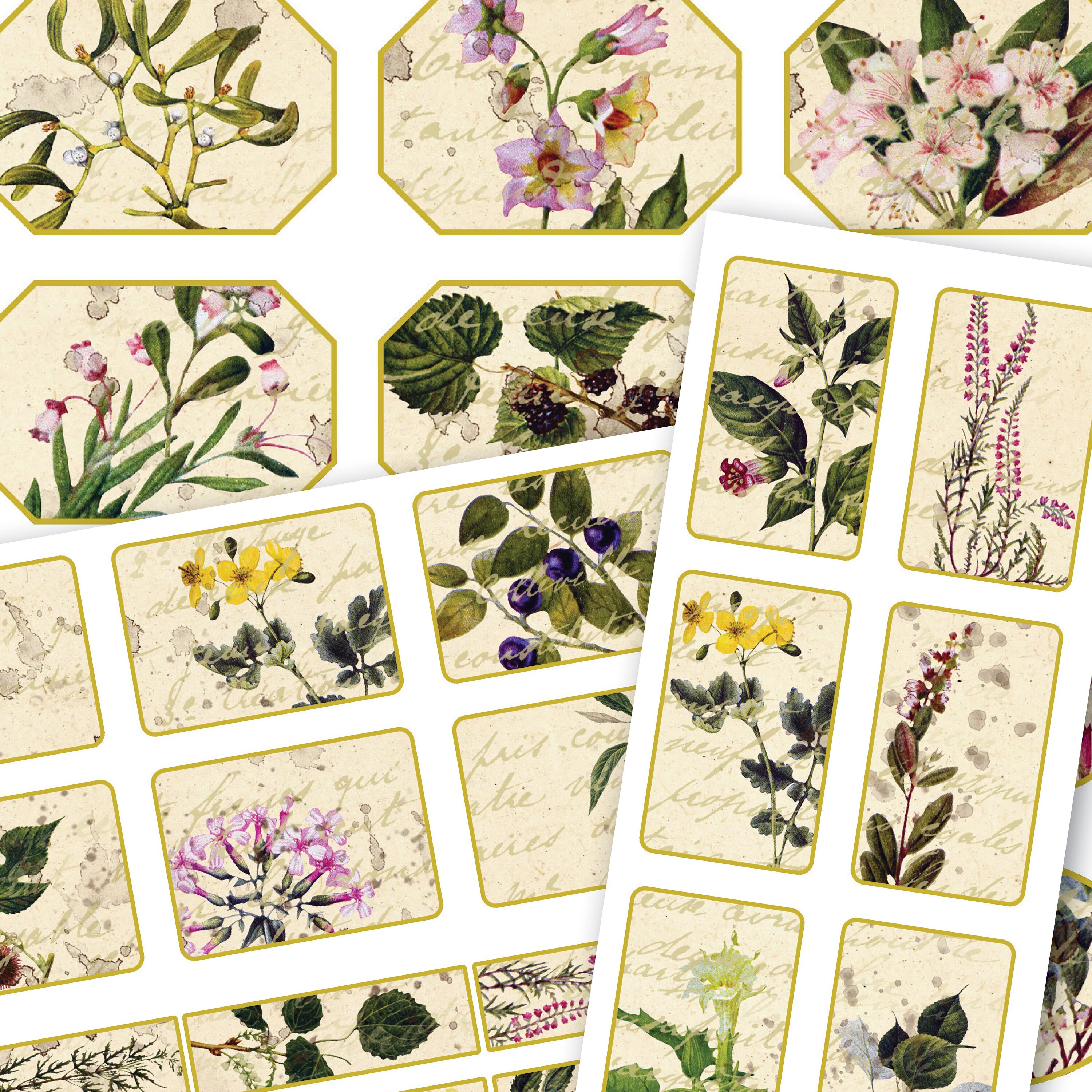 Flower Labels Printable Paper, Ephemera, Paper Crafts, Scrapbook, Junk ...