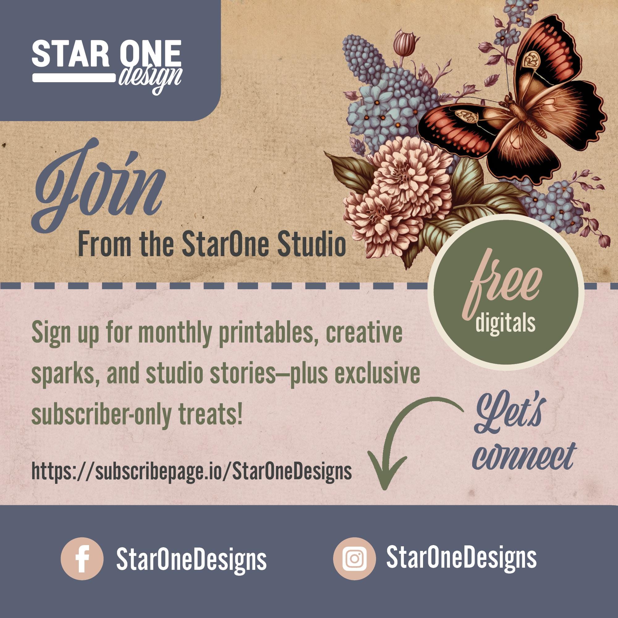 Entomologists Field Guide – Vintage Insect Specimen Tag Set (13 Tags ...