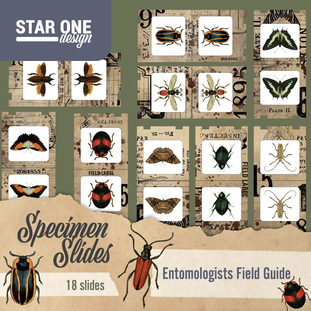Specimen Slide Printables, Digital Ephemera Kit, Vintage Entomology ...
