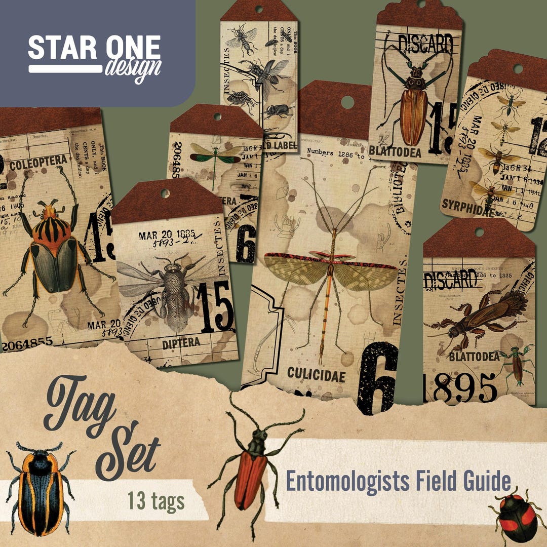 Entomologists Field Guide – Vintage Insect Specimen Tag Set (13 Tags ...
