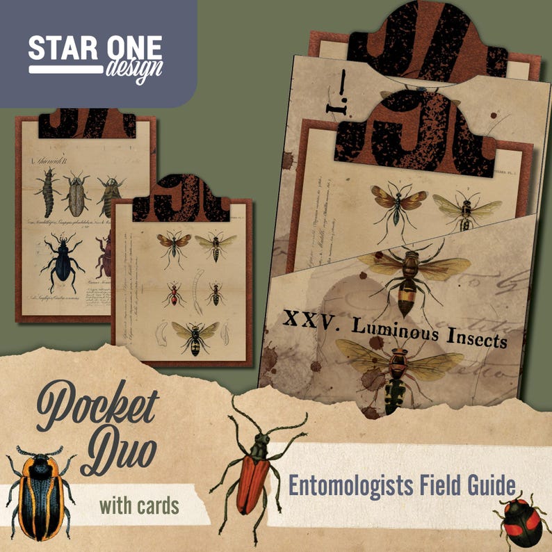 Entomologist’s Field Guide Junk Journal Ephemera Bundle – 113 Printable ...