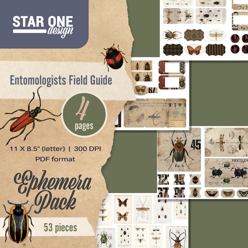 Entomologists Field Guide Ephemera – 53 Printable Insect Frames, Labels ...