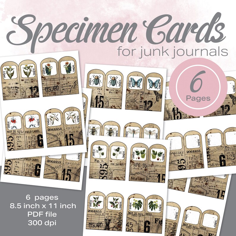 Specimen Cards Printable Digital Download Ephemera for Junk Journals ...