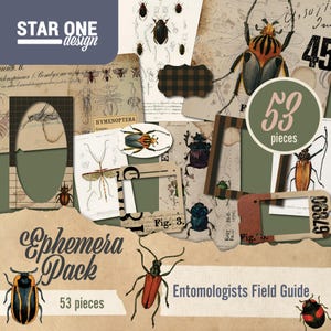 Entomologists Field Guide Ephemera – 53 Printable Insect Frames, Labels ...