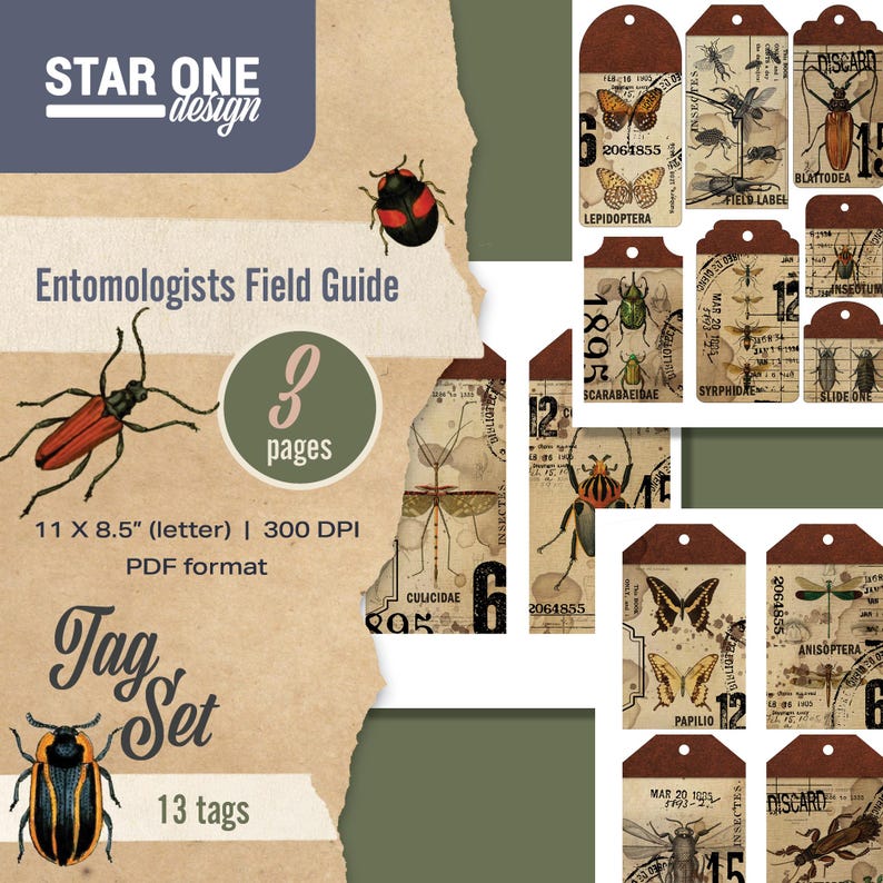 Entomologists Field Guide – Vintage Insect Specimen Tag Set (13 Tags ...