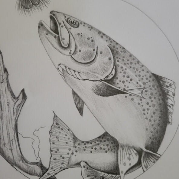 Black and White Original Hand Drawing of a Trout Under Water. - Etsy