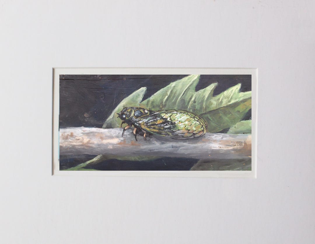 Cicada Painting Print, Cicada Print, Insect Artwork, Cicada Artwork ...