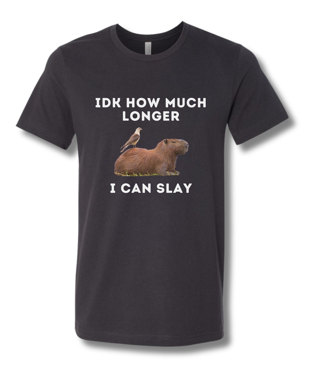 Idk How Much Longer I Can Slay Capybara T Shirt Sarcastic Rodent Shirt ...