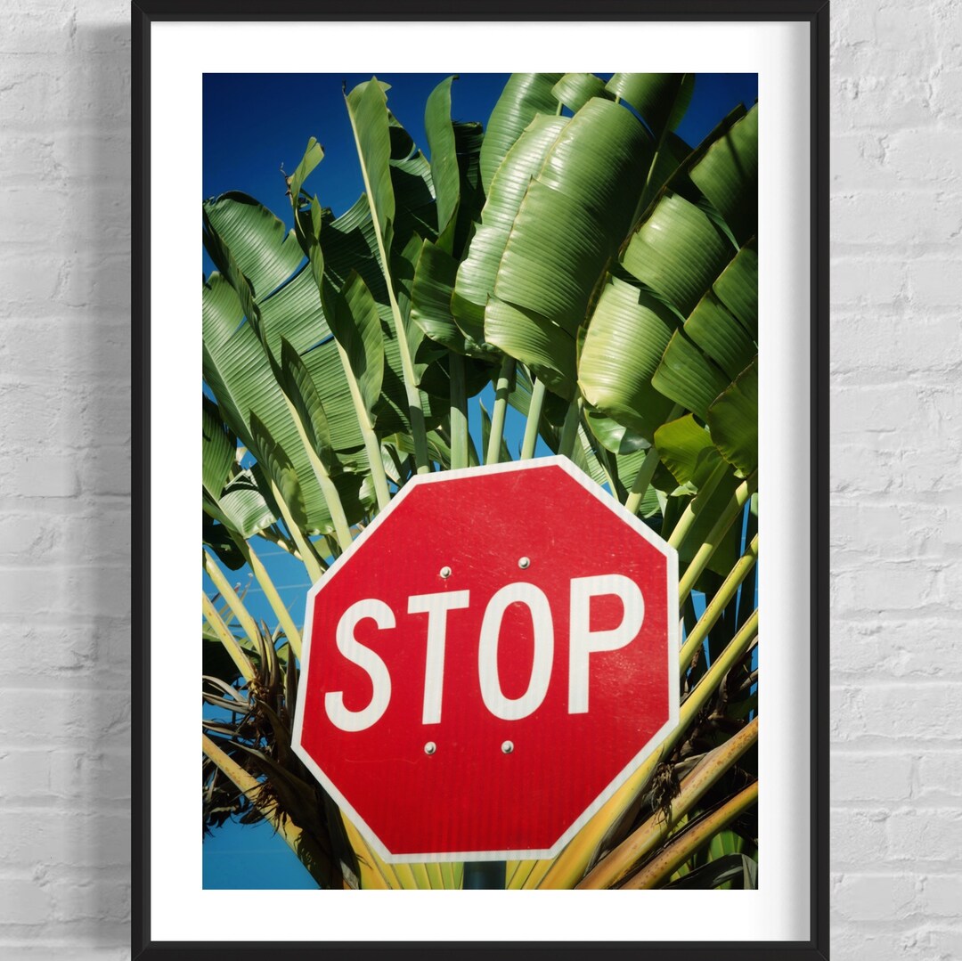 Key West / Florida / Stop Sign / Palm Tree / Landscape / Photo ...