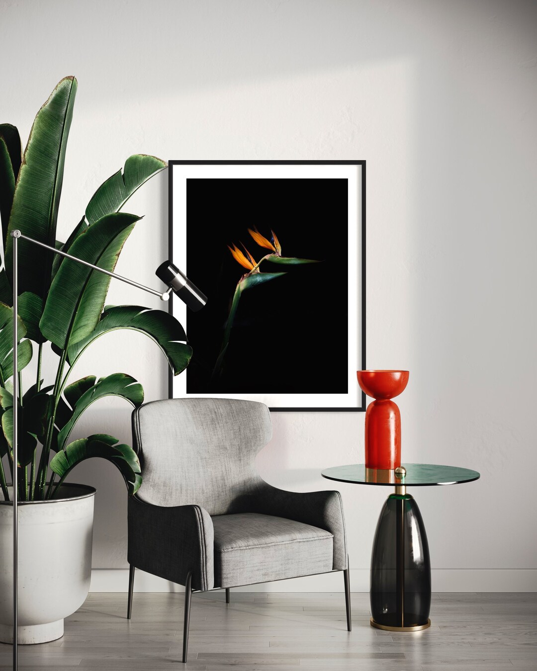 Bird of Paradise / Flower / Key West / Florida / Print / Photo ...