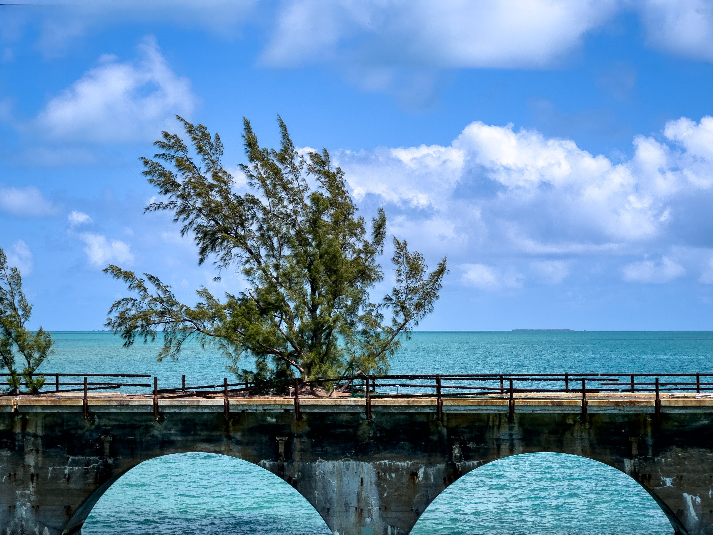 Fred the Tree / Seven Mile Bridge / Florida Keys / Key West / Landscape ...
