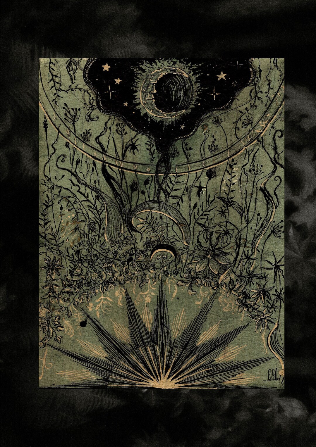 Botanical Alchemy Illustration "citrinias", Wood Print - Etsy