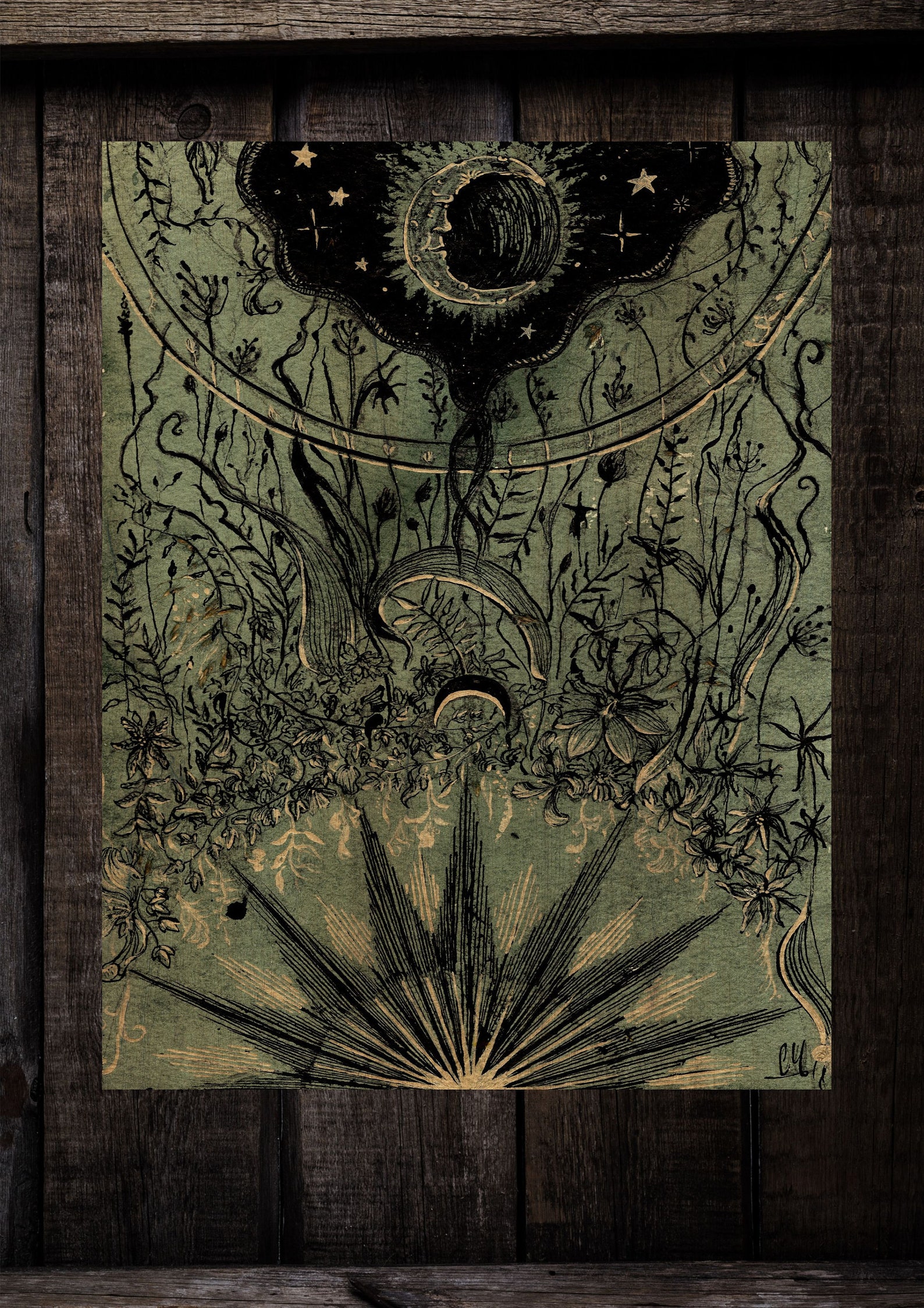 Botanical Alchemy Illustration "citrinias", Wood Print - Etsy