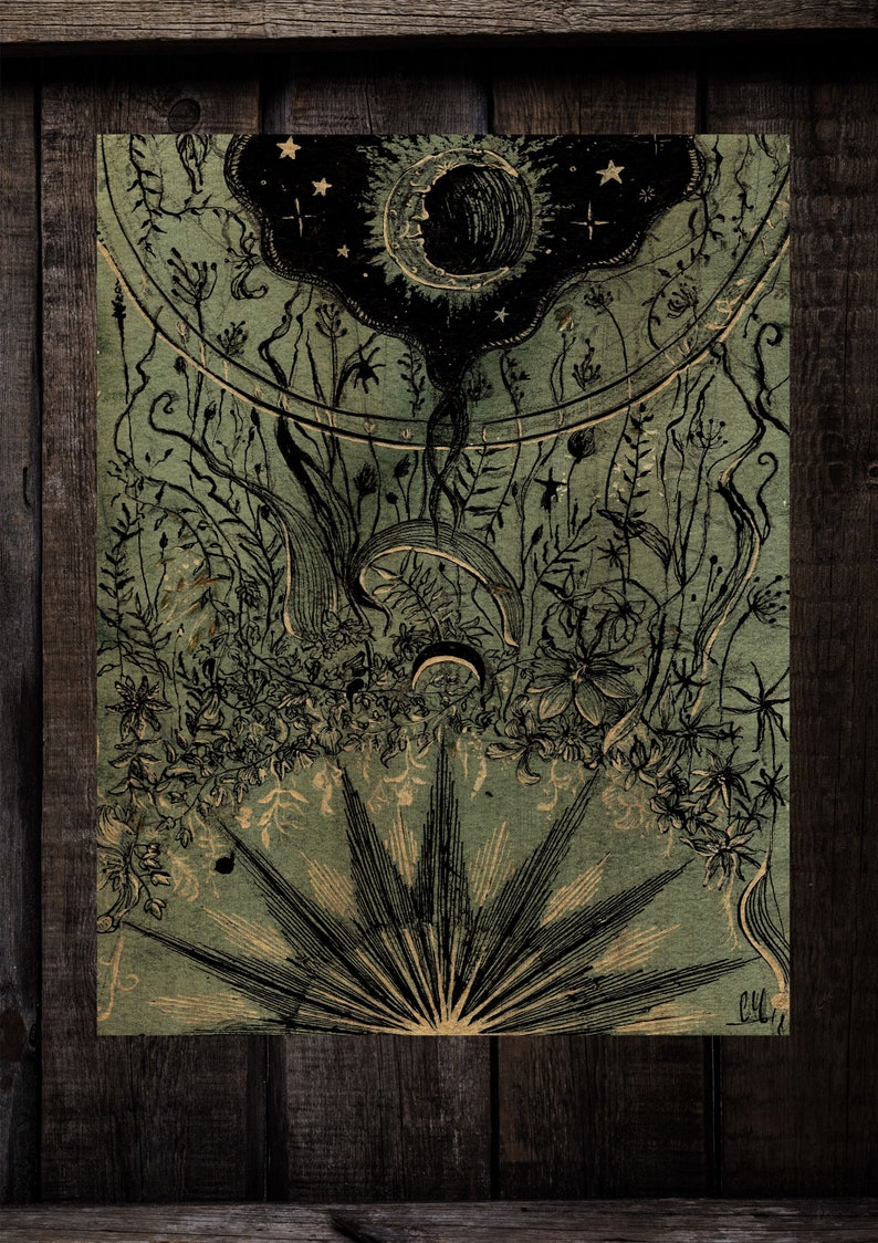 Botanical Alchemy Illustration "citrinias", Wood Print - Etsy