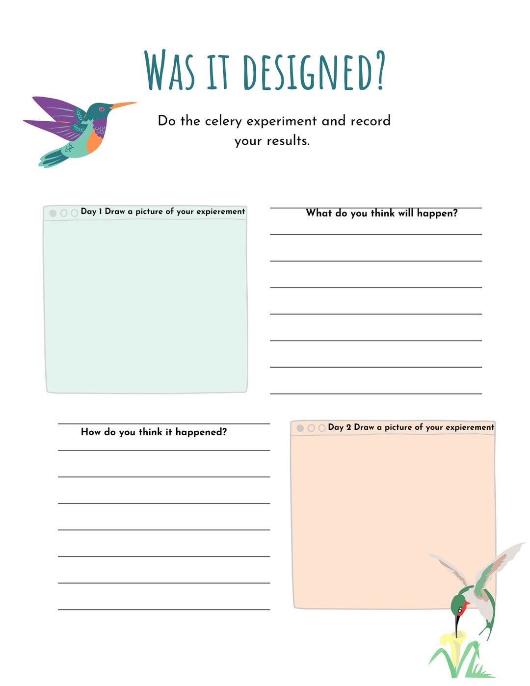 JW "was It Designed" Hummingbird Mini Unit Study - Etsy