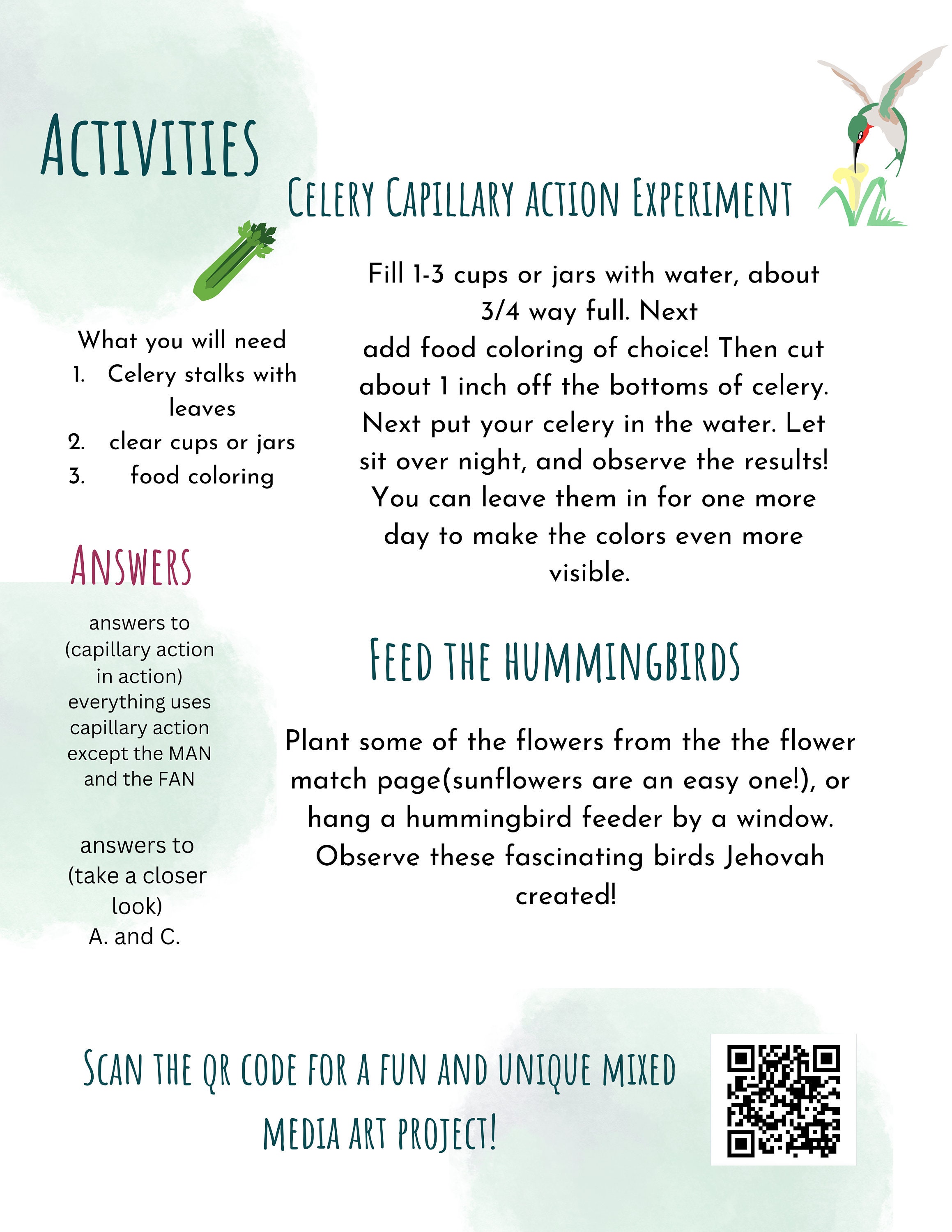 JW "was It Designed" Hummingbird Mini Unit Study - Etsy