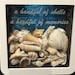 Seashells Shadow Box - Etsy