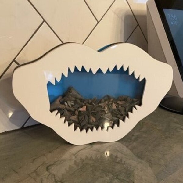 Open Mouthed Shark Box - Etsy