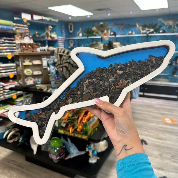 Shark Teeth Shadow Box Svg - Etsy