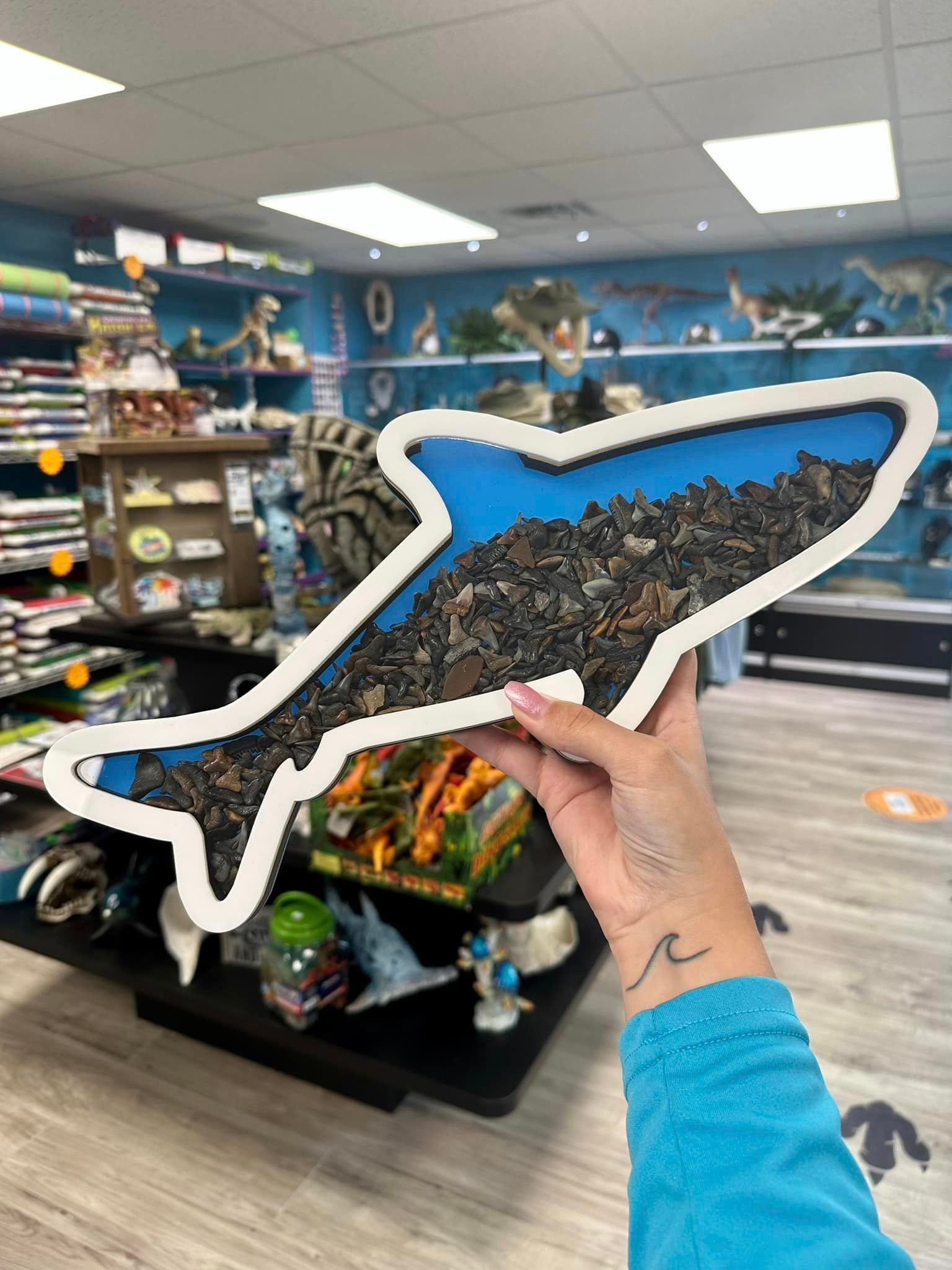 Shark Tooth Shadow Box Shark Design different Colors Available - Etsy