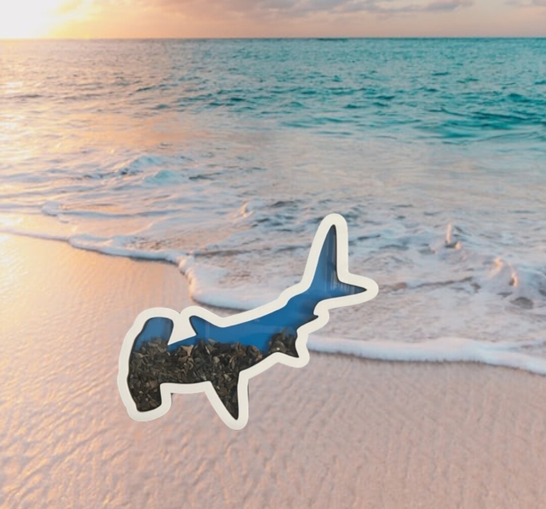 Shark Tooth Shadow Box Hammerhead Design different Colors Available - Etsy