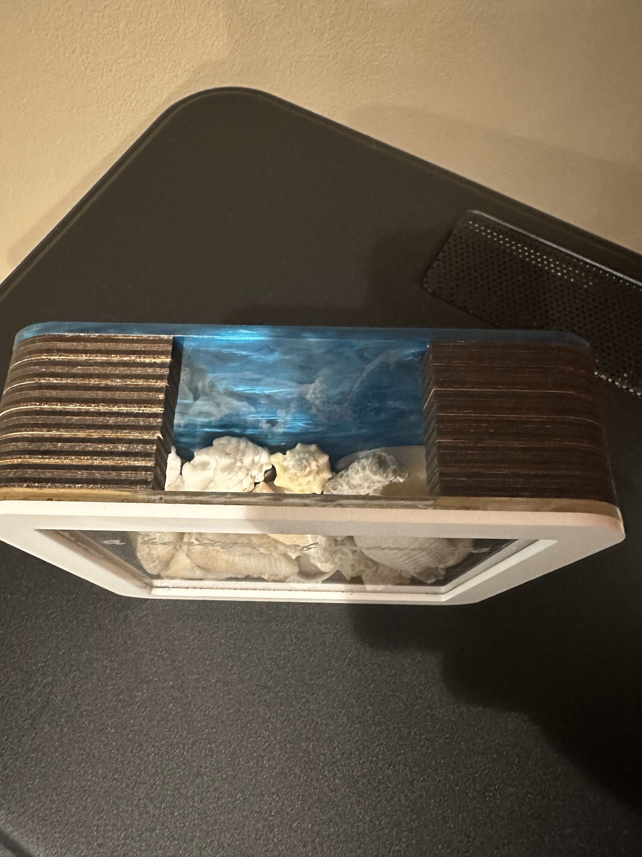 Seashells Shadow Box - Etsy