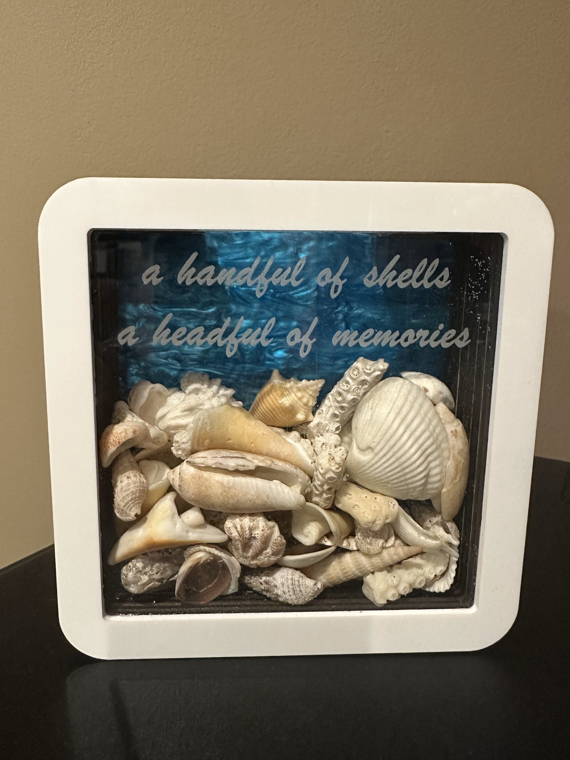 Seashells Shadow Box - Etsy