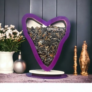 Meg Custom Shark Tooth Shadow Box – Display Your Treasures! - Etsy