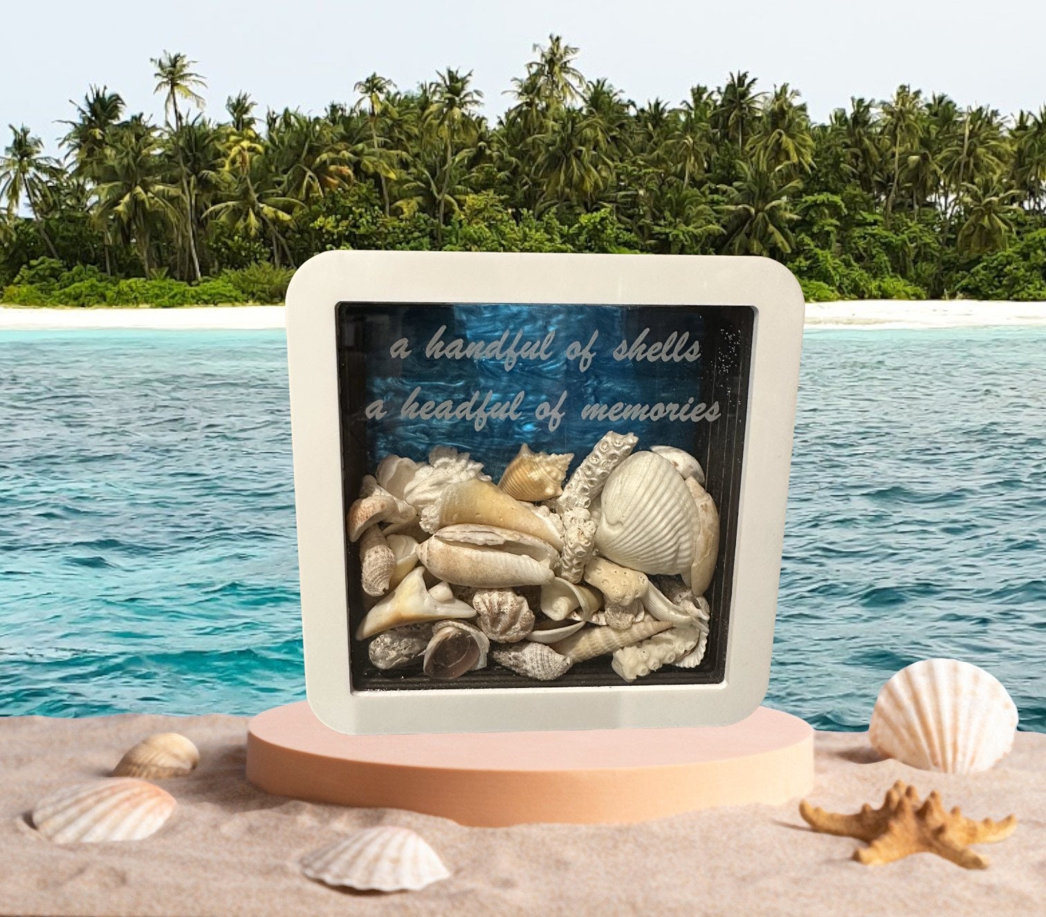 Seashells Shadow Box - Etsy