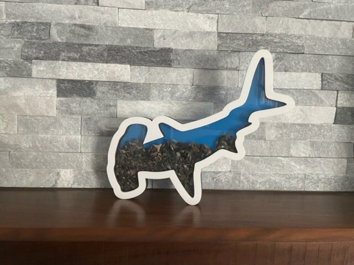 Shark Tooth Shadow Box Hammerhead Design different Colors - Etsy