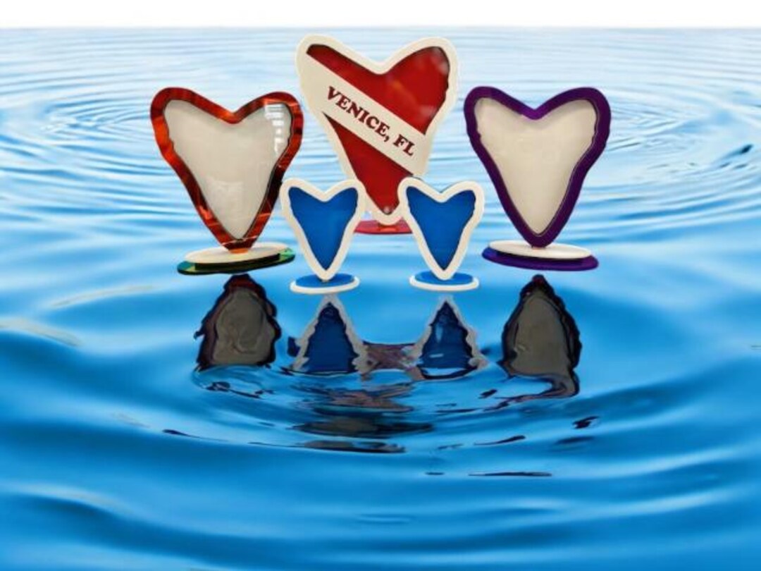 Meg Custom Shark Tooth Shadow Box – Display Your Treasures! - Etsy