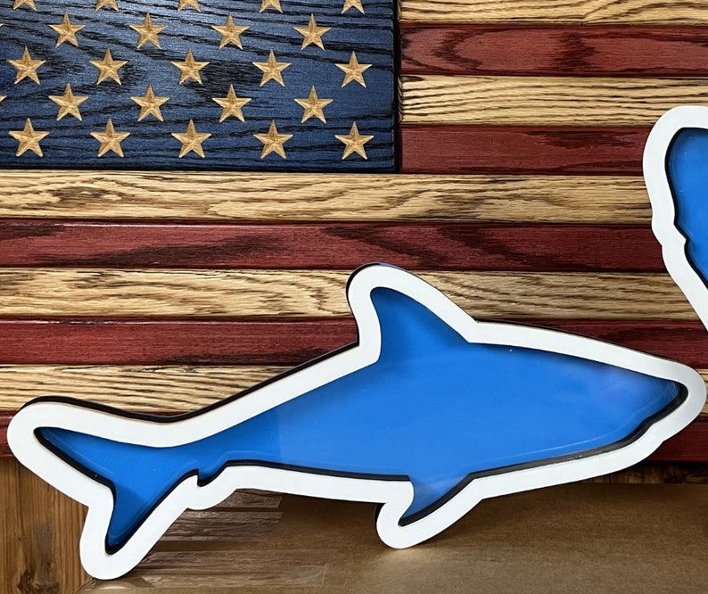 Custom Shark Tooth Shadow Box – Display Your Treasures! - Etsy