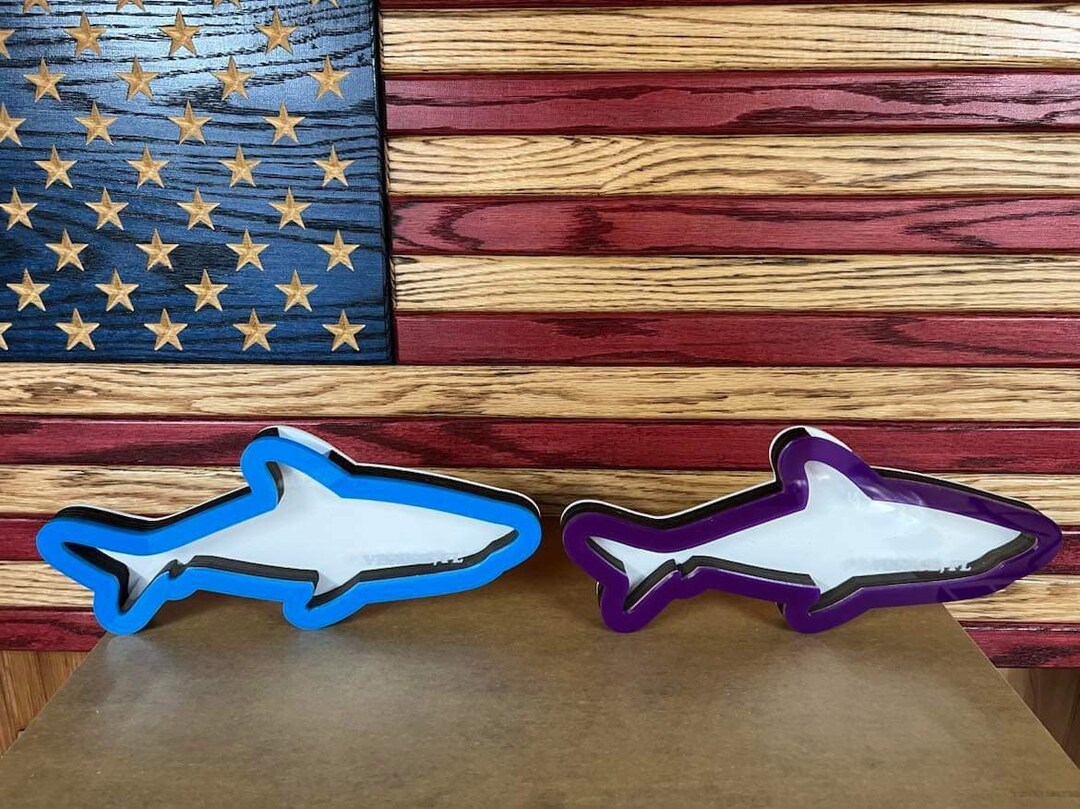Custom Shark Tooth Shadow Box – Display Your Treasures! - Etsy