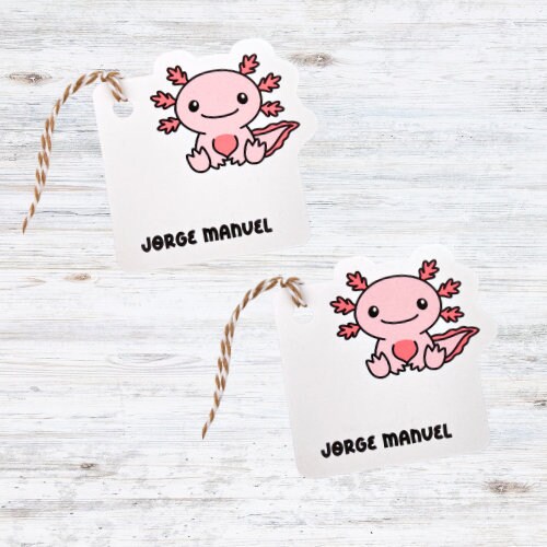 Personalized Axolotl Gift Tags - Etsy