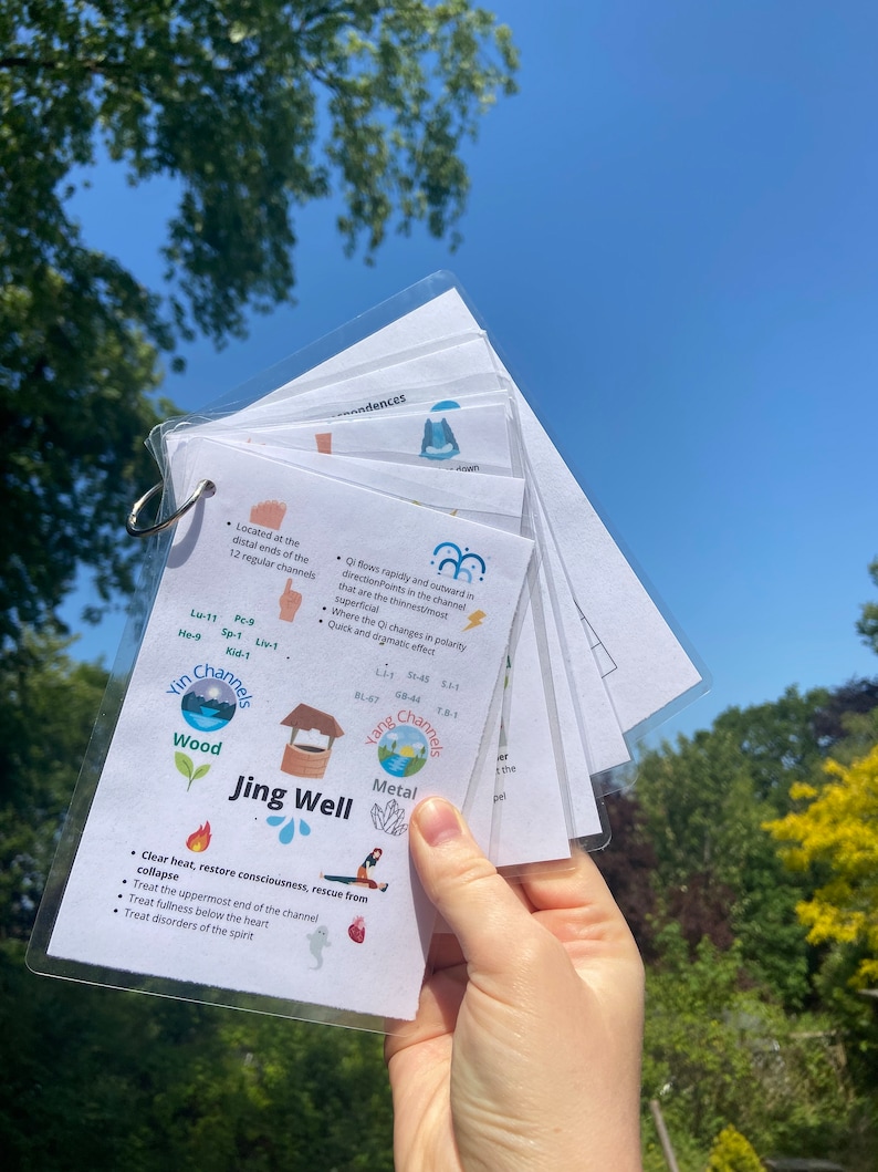 Shu Points PDF Flashcards - Etsy