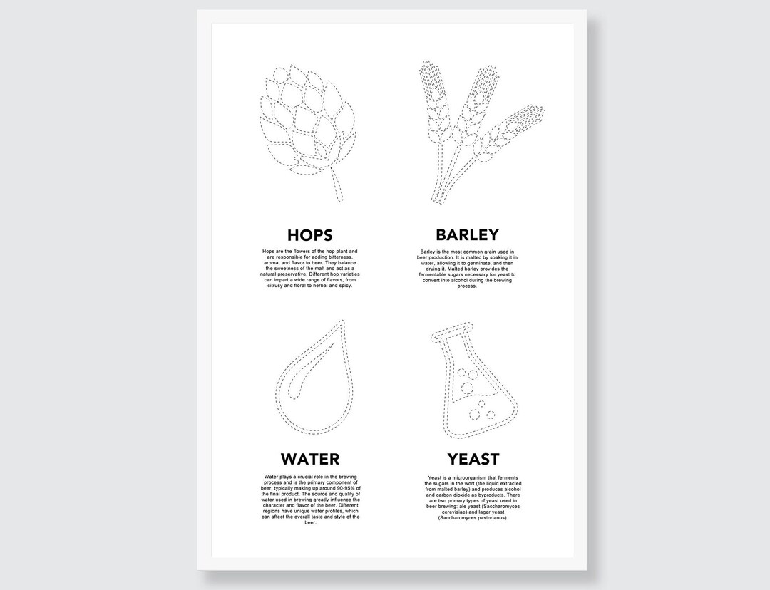 Beer Ingredients Poster: Hops, Barley, Yeast, Water Art Print - Etsy