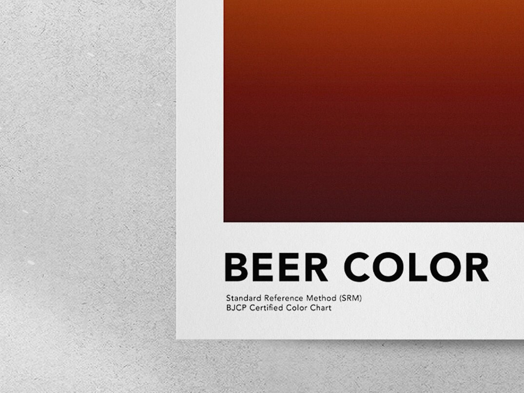 Beer Color Guide Print Beer Poster Beer Styles Beer Lover Print Beer ...