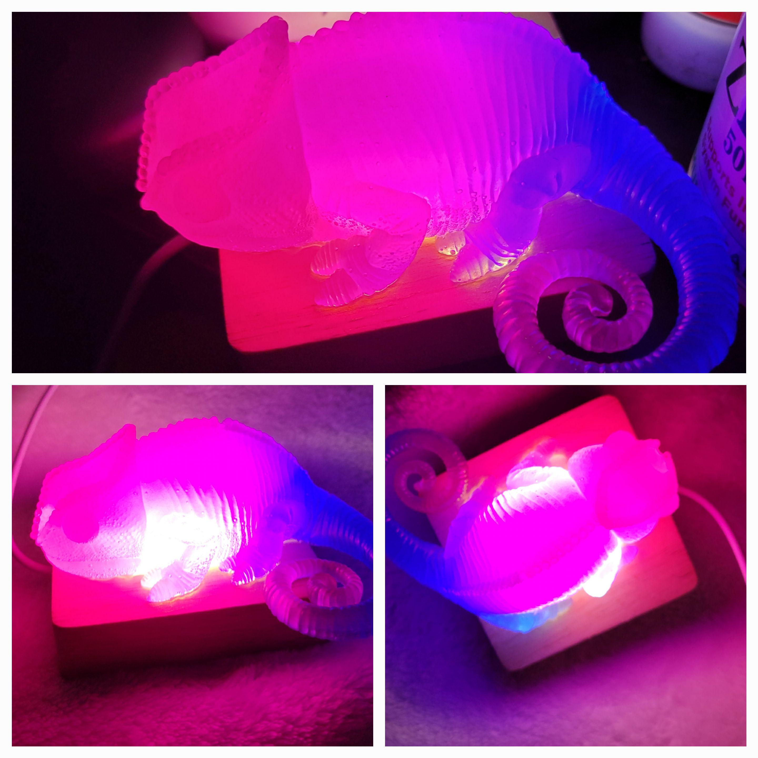 Animal Decor With Lighting - Etsy