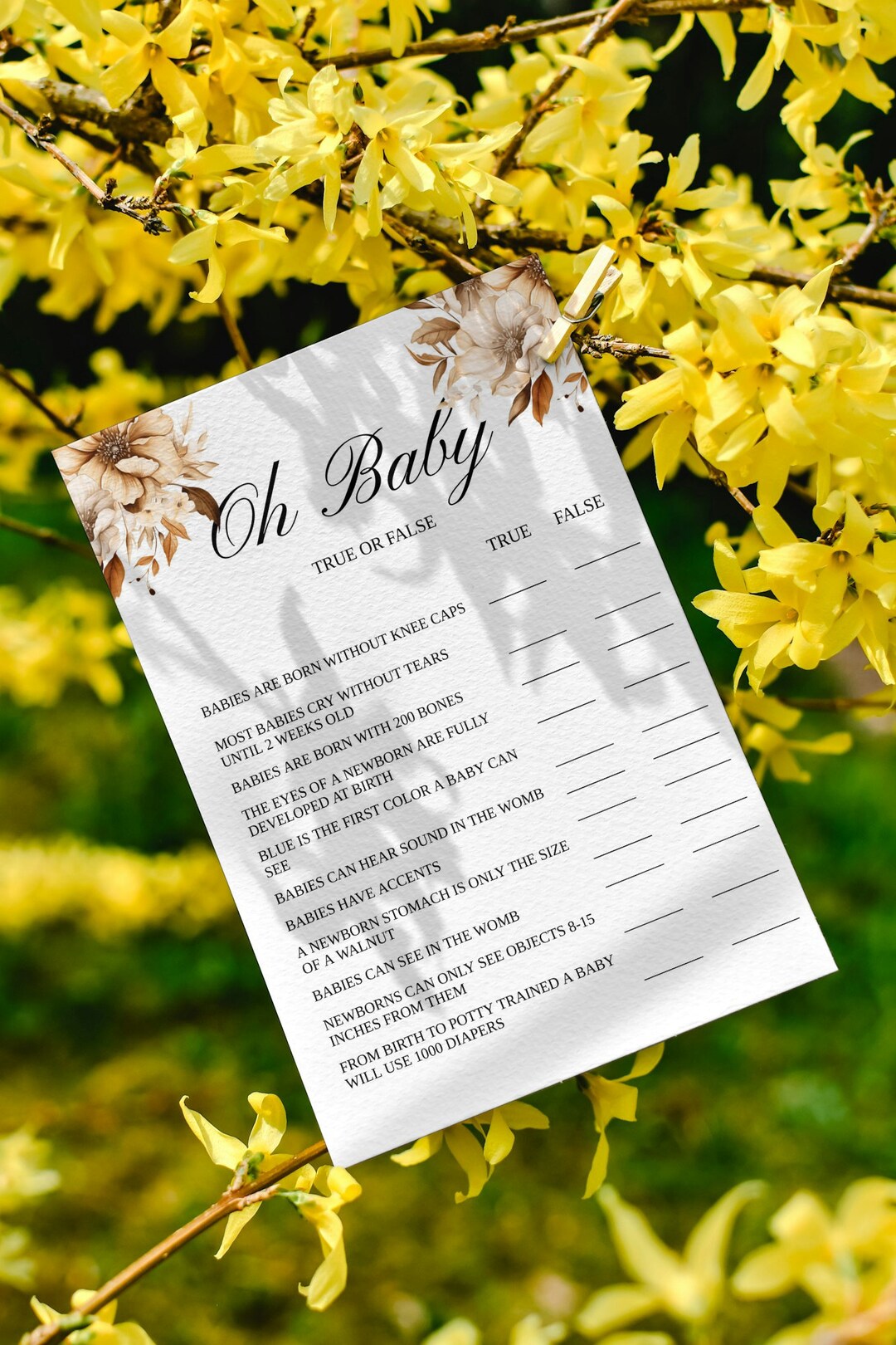 Boho Baby Shower Game: True or False Printable Template, Instant ...