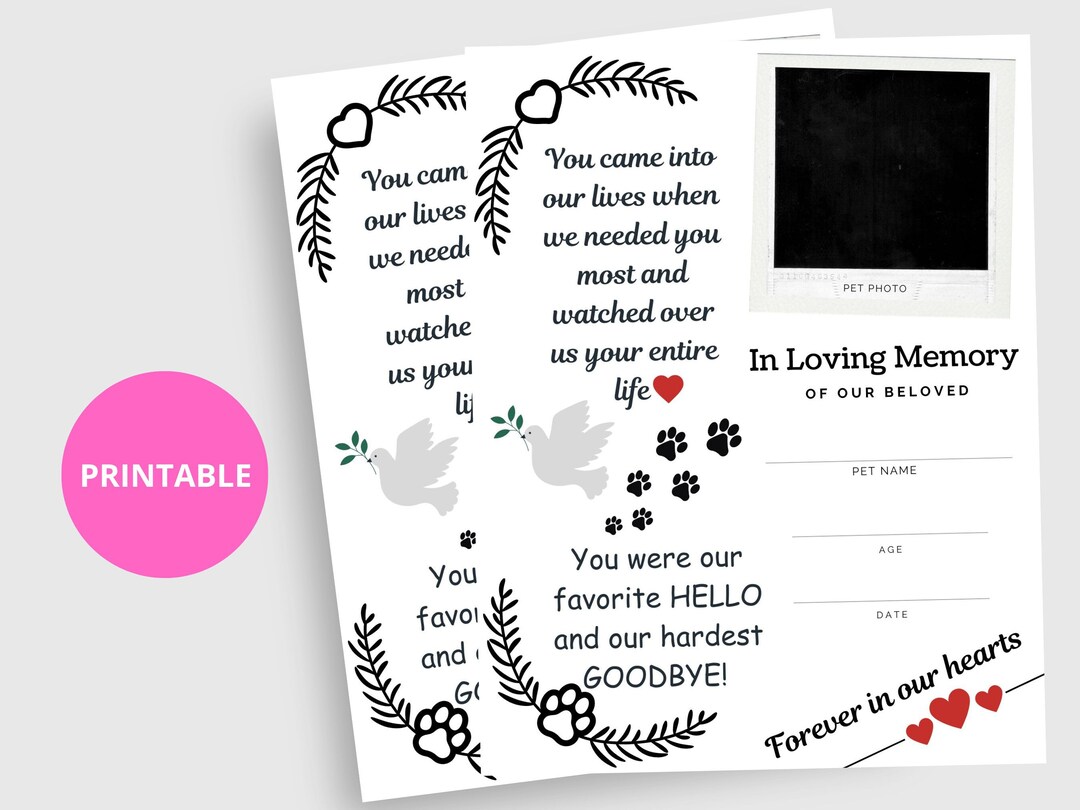 Pet Memorial Certificate Pet Memorial Black & White Certificate Letter ...