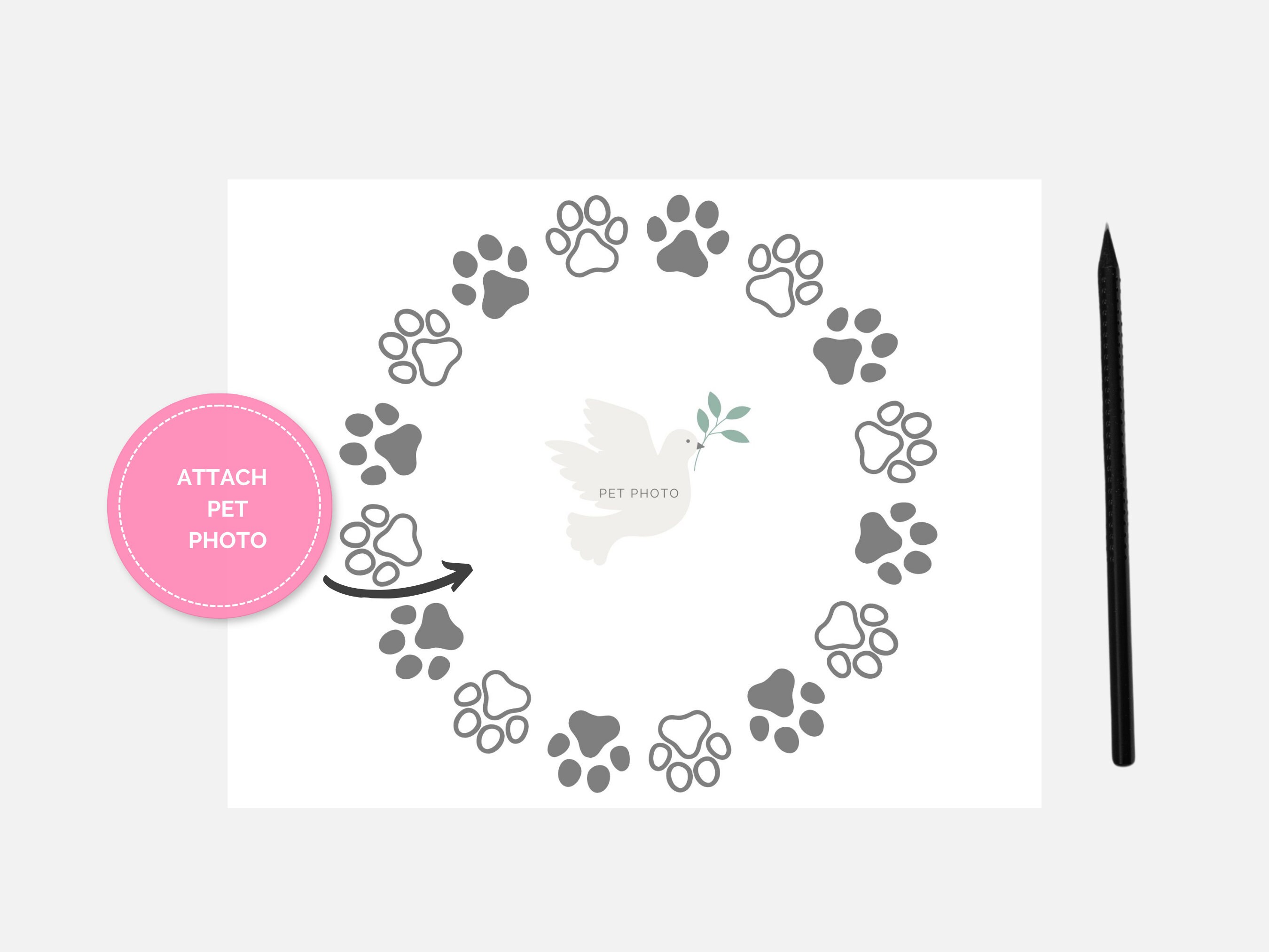 Pet Memorial Certificate Pet Memorial Black Paws Certificate Letter ...