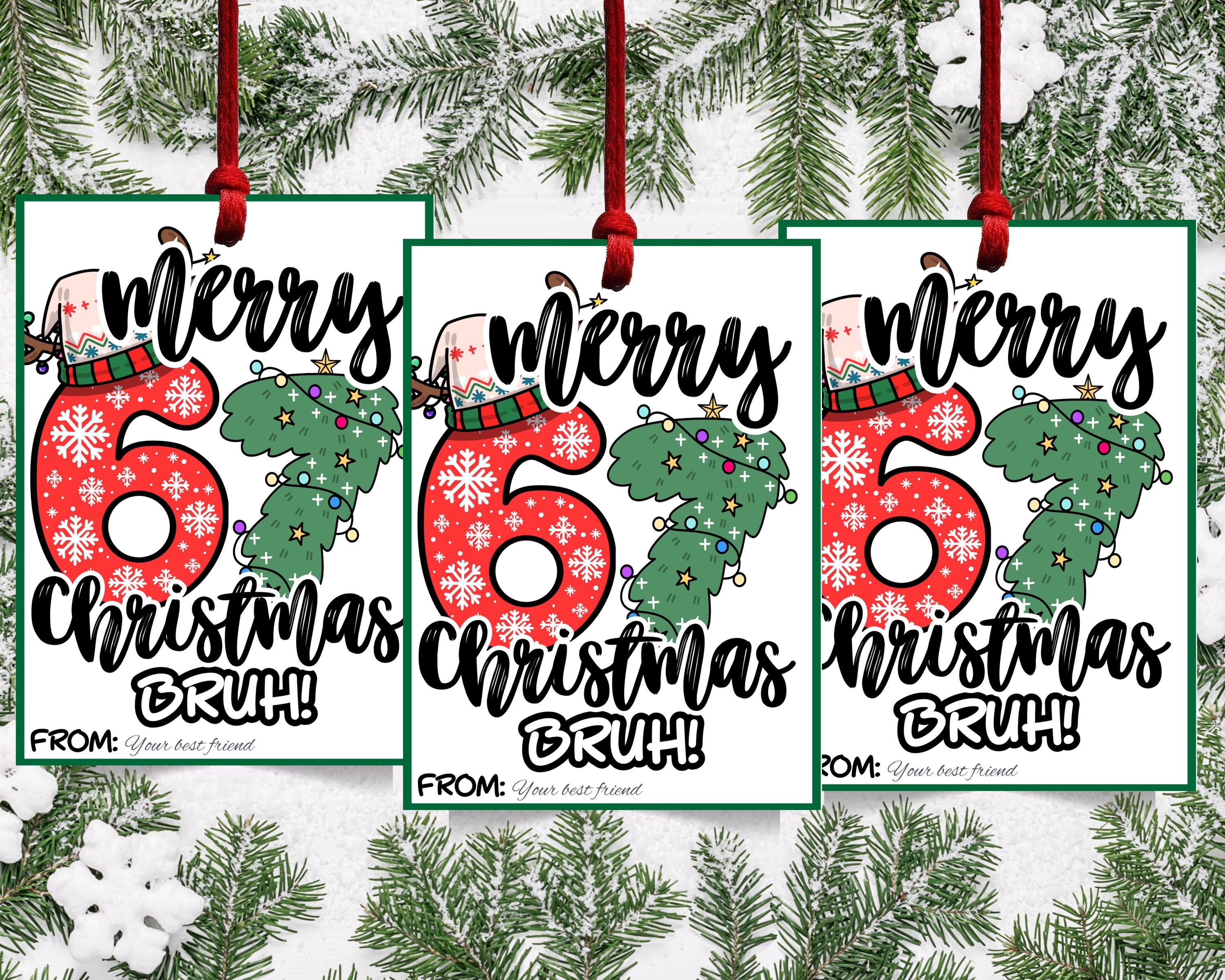 67 Christmas Gift Tags | Funny Christmas 67 Gift Tags for Students ...