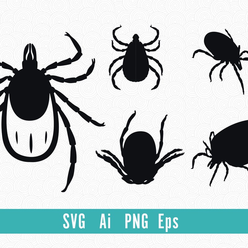 KatiDreamWorks - Etsy