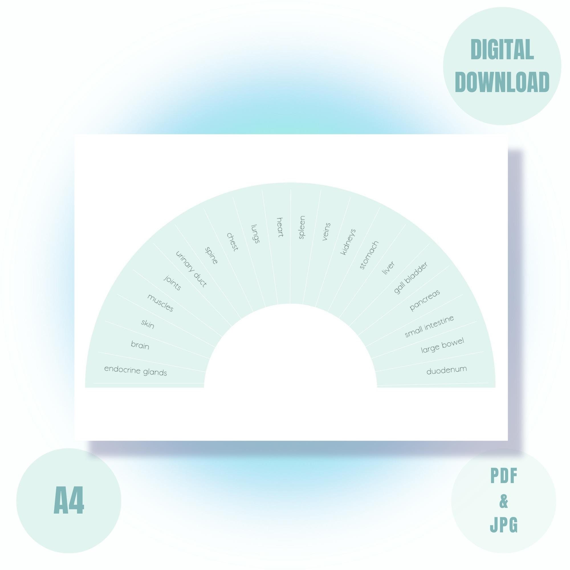 Body Health Pendulum Chart Printable Dowsing Chart Canva Editable ...