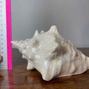 Vintage Iridescent Ceramic Conch Shell Figurine | Beach Coastal Decor ...